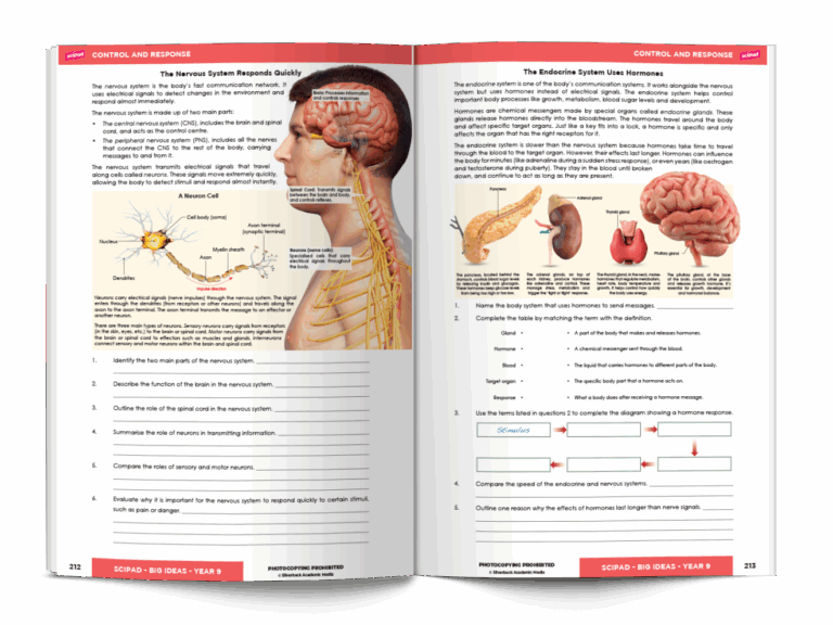 Year 9 | sciPAD Science Workbooks Australia | Secondary Science
