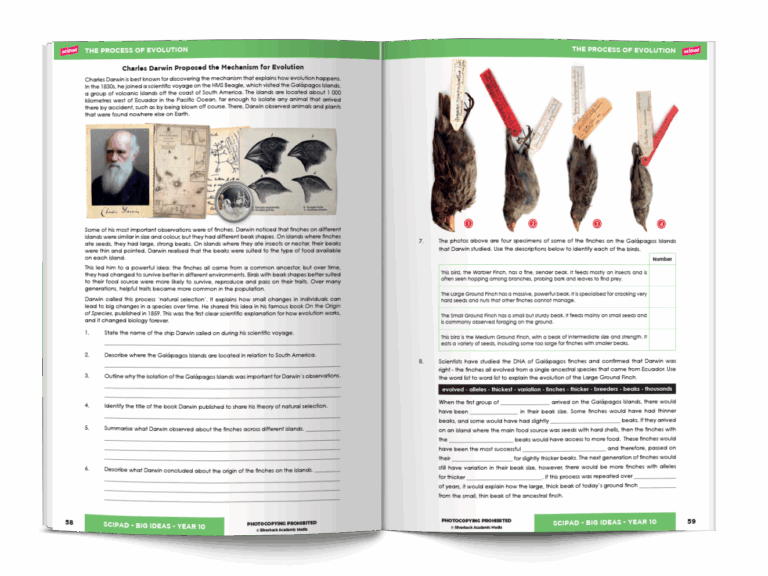 Year 10 | sciPAD Science Workbooks Australia | Secondary Science