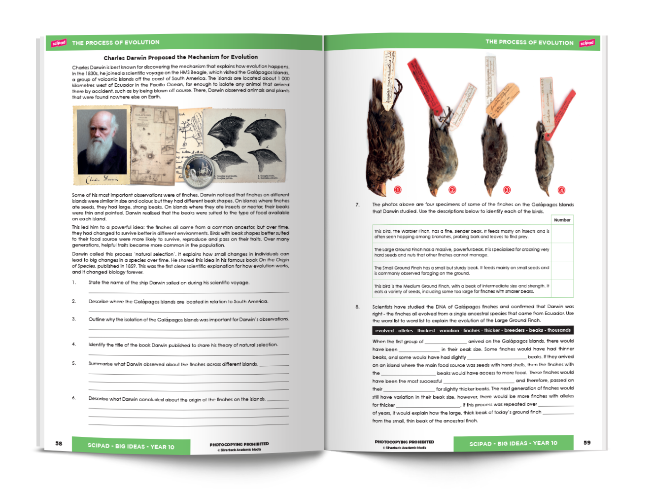 Year 10 | sciPAD Science Workbooks Australia | Secondary Science